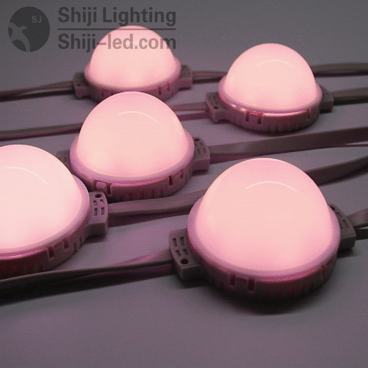 Led pixels light-Shenzhen Shiji Lighting Co., Ltd